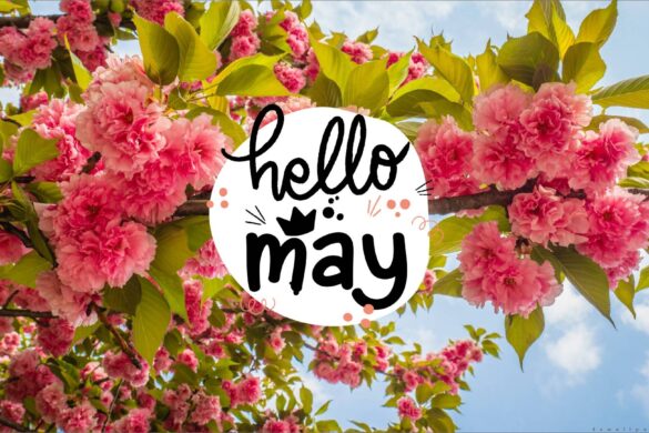 Preppy Summer Wallpapers 4K For iPhone, Computer, Laptop