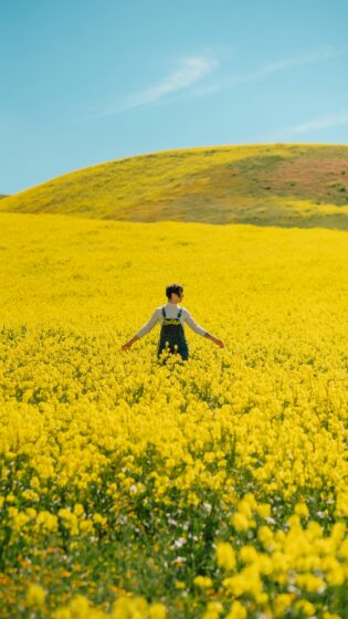 Spring Screensavers 4K Helps You Enjoy Spring At Your Fingertips