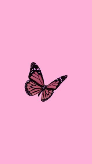 Cute, Aesthetic Pink Pfp Wallpapers Help Girls Shine Brightly